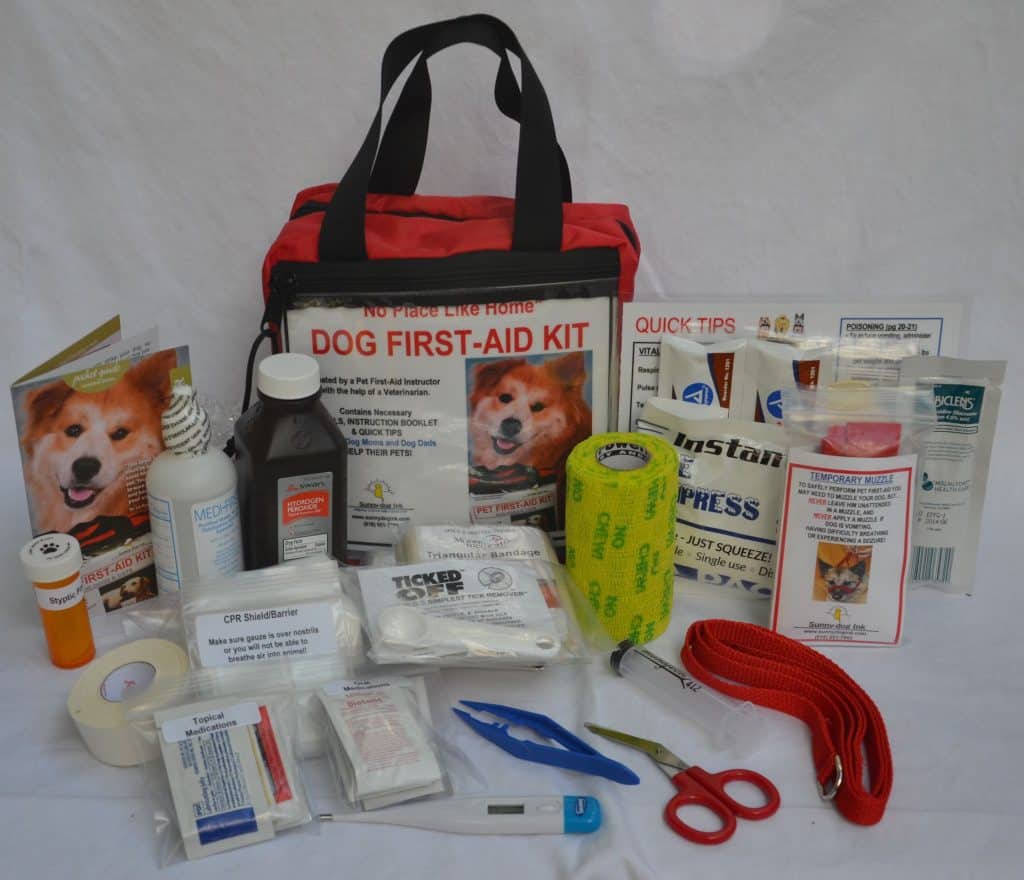 How To Assemble A Dog First Aid Kit - PetHealth4You.com